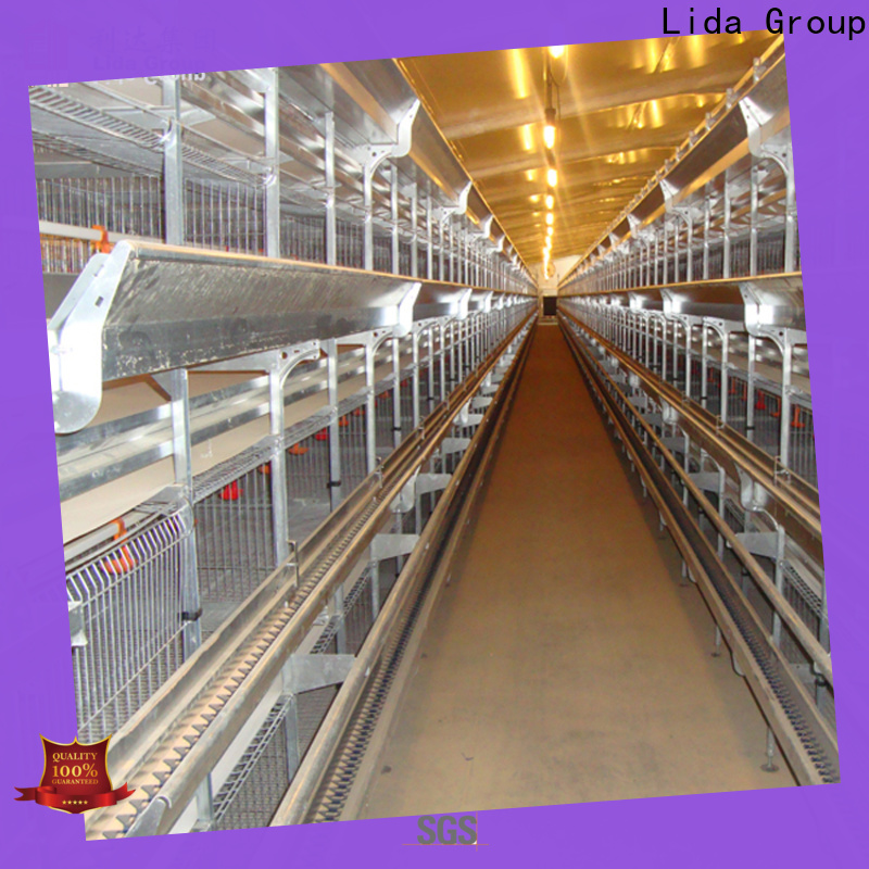 Best poultry control shed design bulk buy for poultry farm | Lida Group